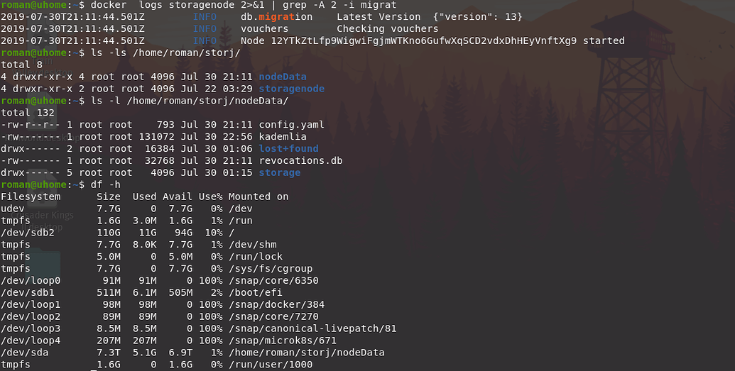 Docker Error Response From Daemon Driver Failed Programming External